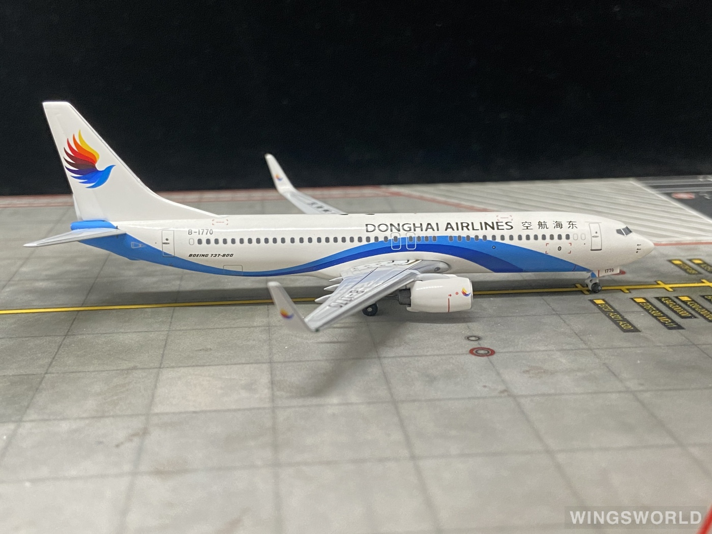 Pandamodel 1:400 Boeing 737-800 Donghai Airlines 东海航空 PM-B1770 B-1770 的 ...