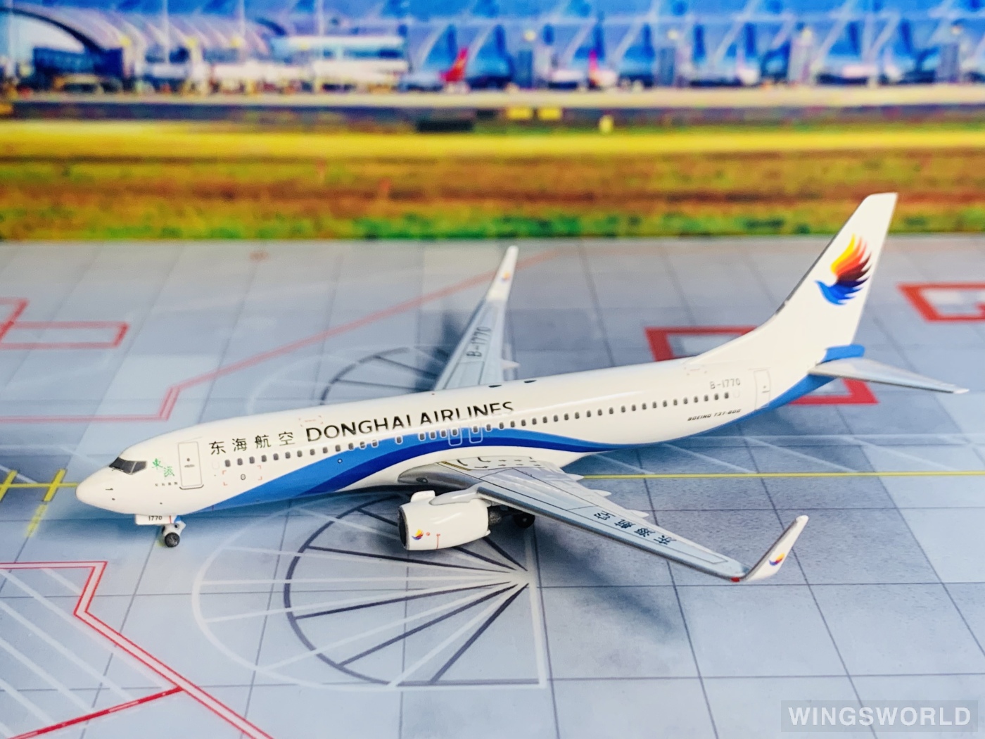 Pandamodel 1:400 Boeing 737-800 Donghai Airlines 东海航空 PM-B1770 B-1770 的 ...